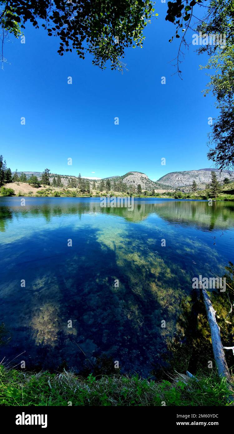 A vertical shot of a lake flowing in a field in the daylight Stock ...