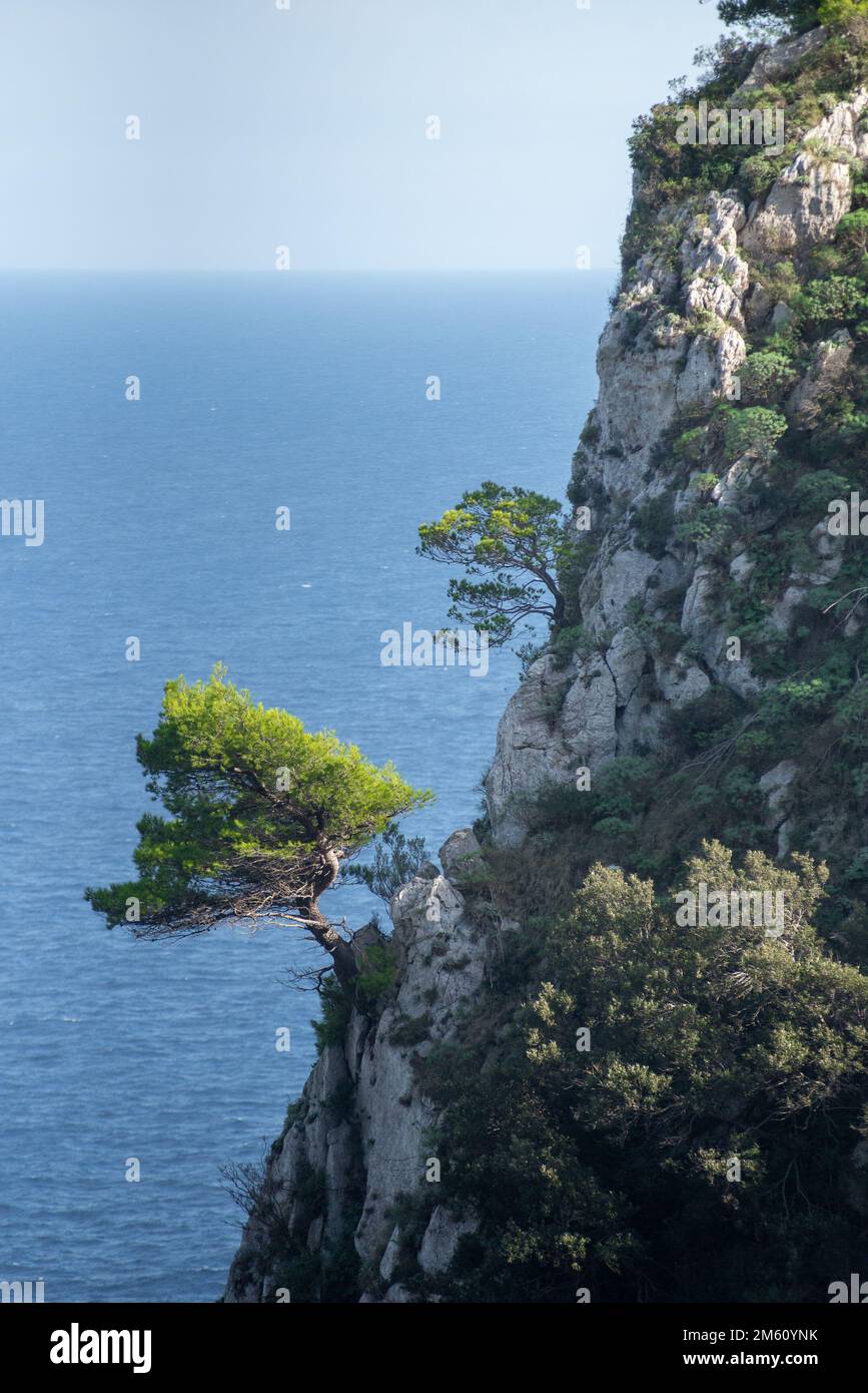 A vertical shot of a beautiful sea in Capri, Italy Stock Photo - Alamy