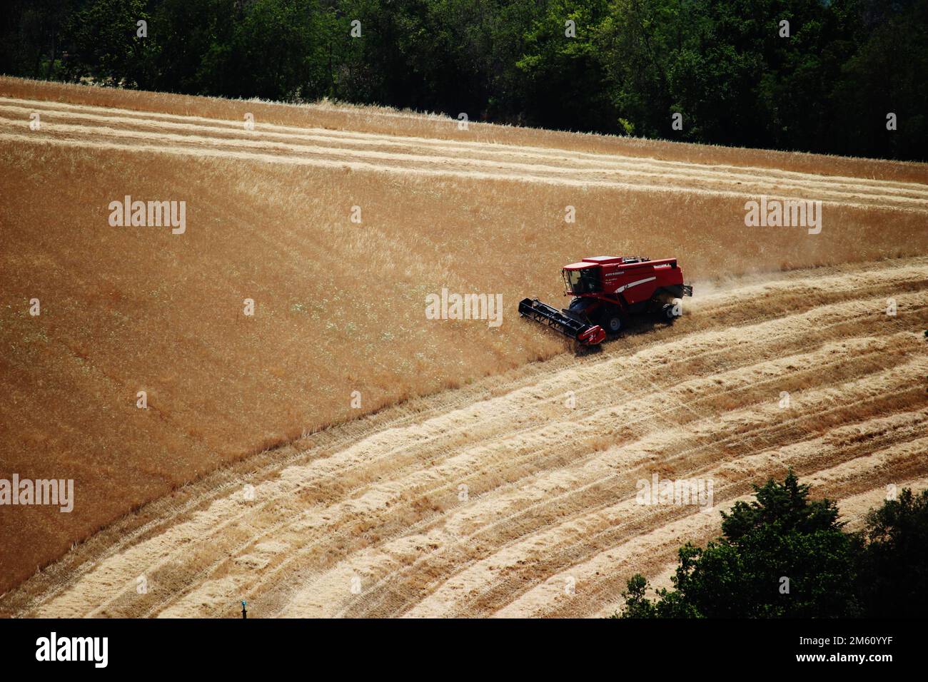 Wheat harvest in Italy - Marche region Stock Photo - Alamy