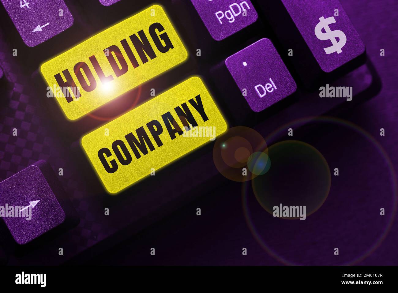 Text sign showing Holding Company. Concept meaning stocks property and ...