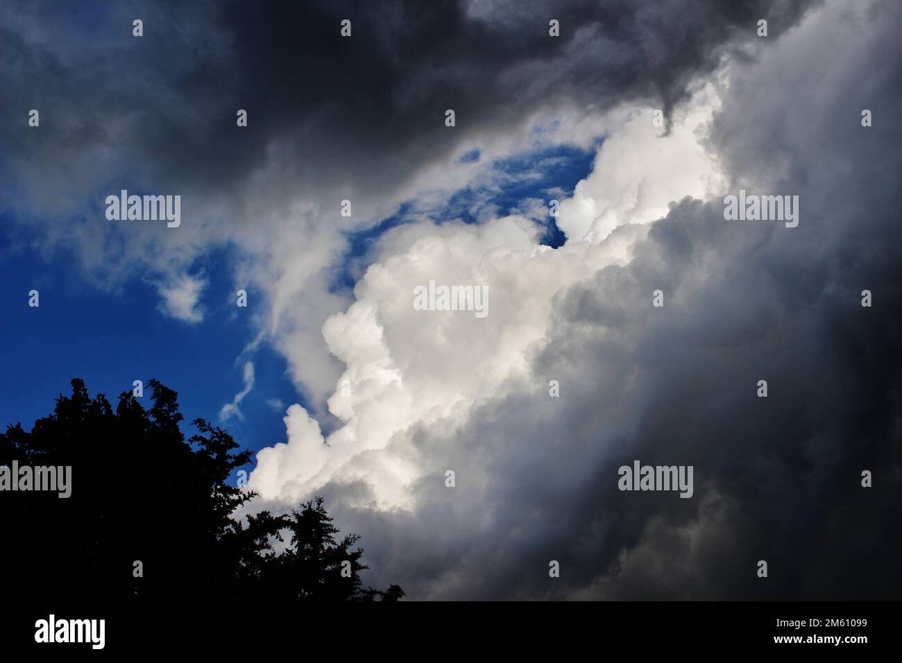 Artistic drawings hi-res stock photography and images - Alamy