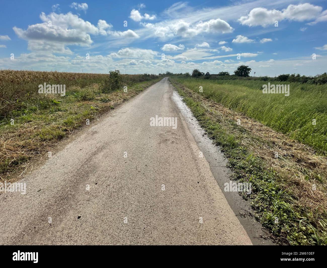 An empty road in a green field under a bright cloudy sky - road to ...