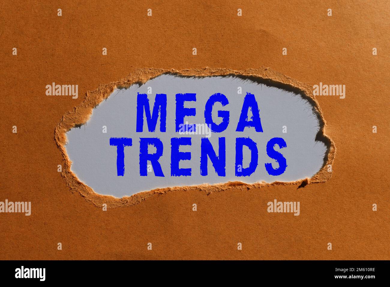 Text sign showing Mega Trends. Word Written on powerful phenomena ...