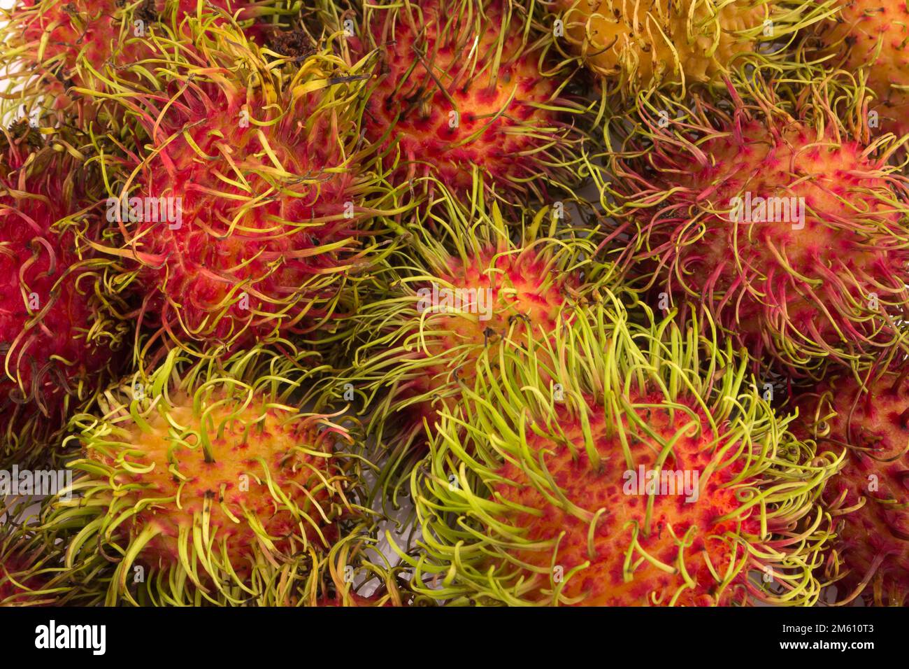 fresh rambutan isolate on white background Stock Photo - Alamy