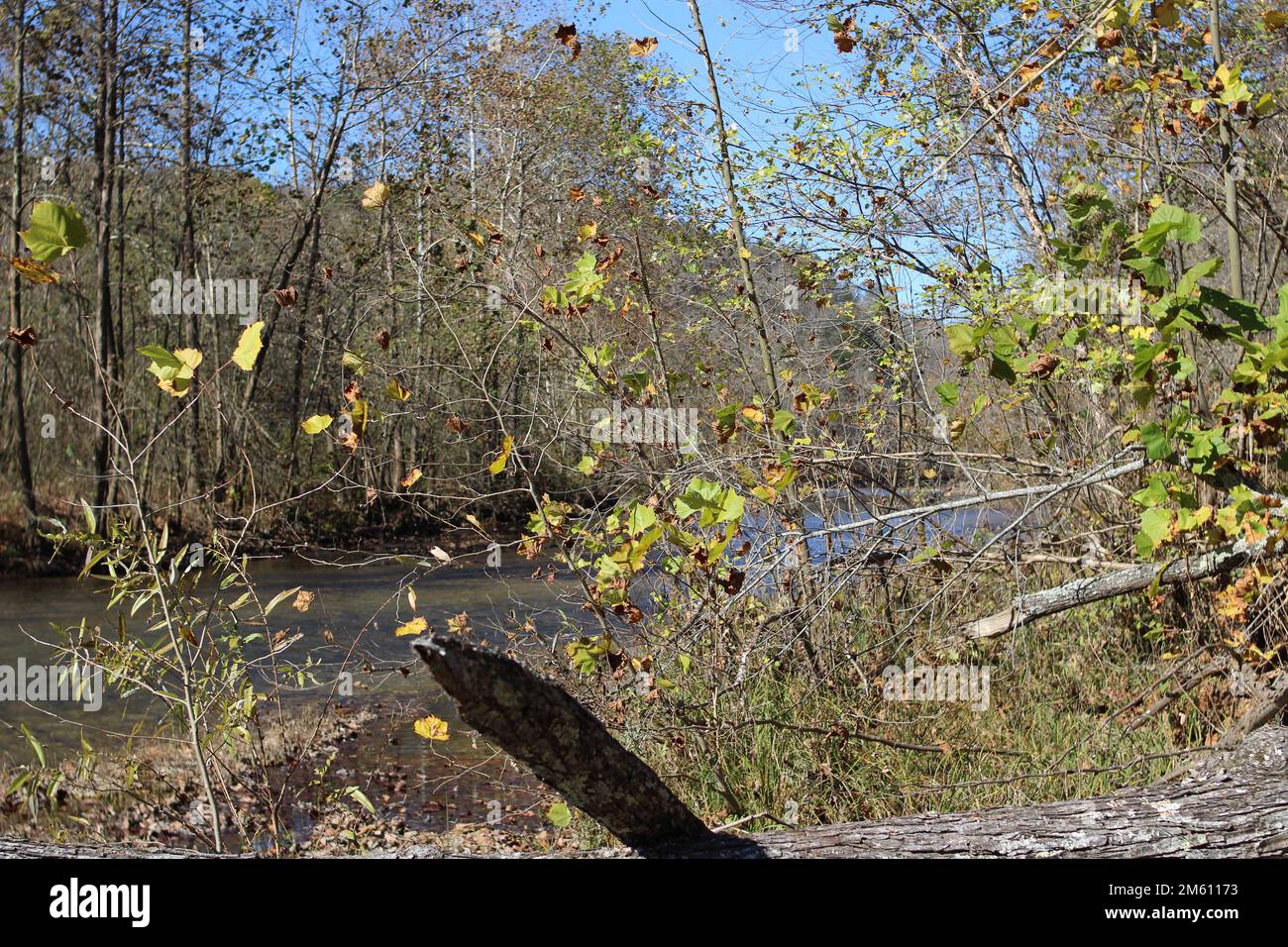 Autumn wide shallow winter river in the Ozark National Scenic Riverways ...