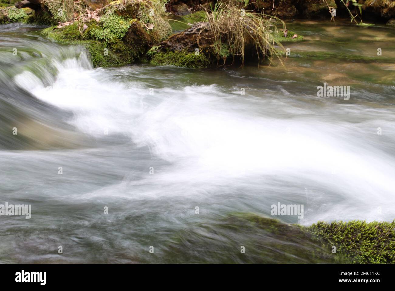 mountain stream in winter with fallen leaves and moss with water at ...