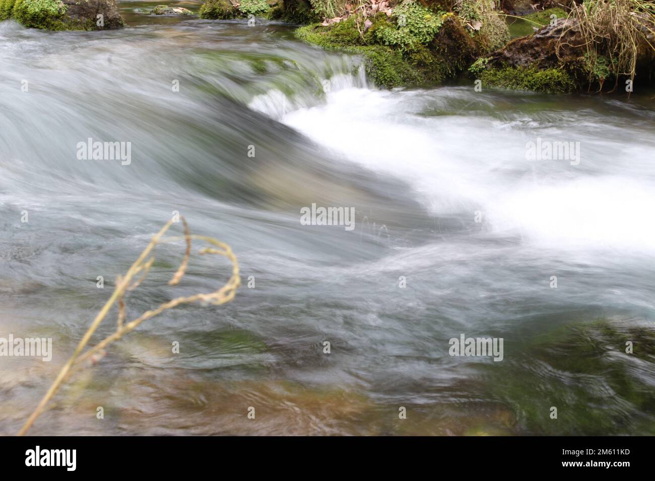 mountain stream in winter with fallen leaves and moss with water at ...