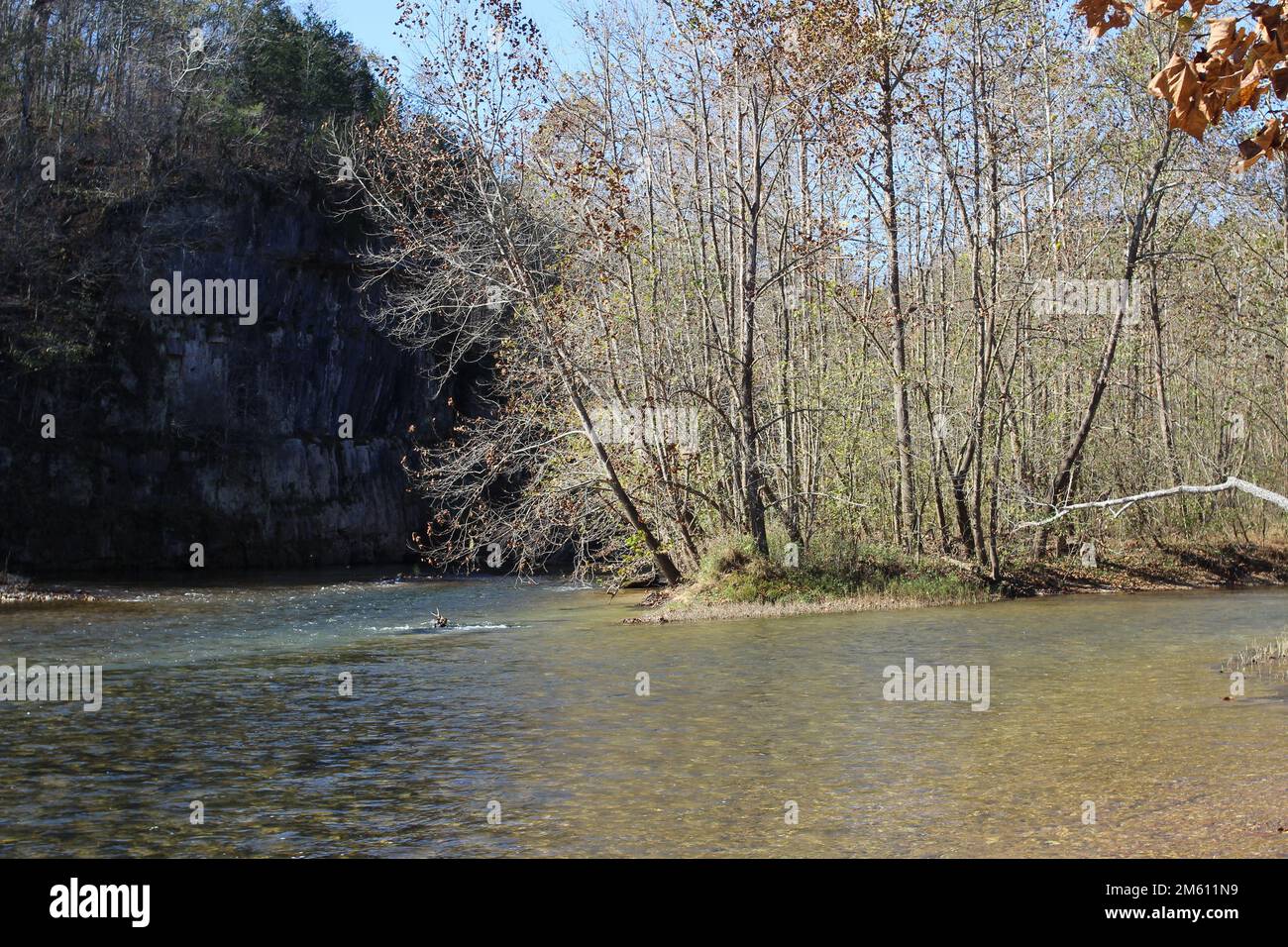 wide shallow winter river in the Ozark National Scenic Riverways at ...