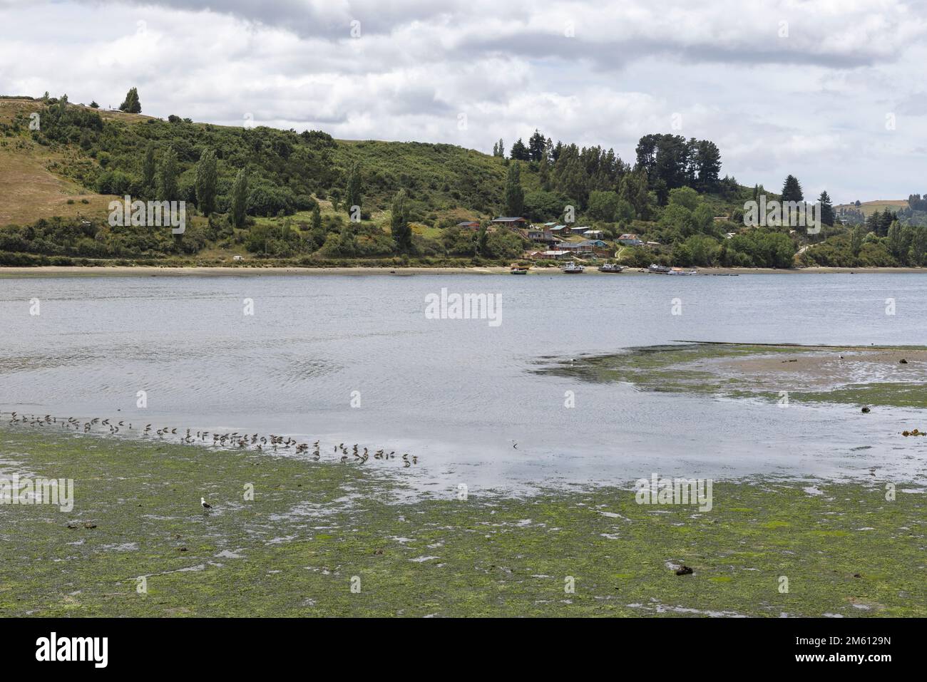 Seascape on island chiloé hi-res stock photography and images - Alamy