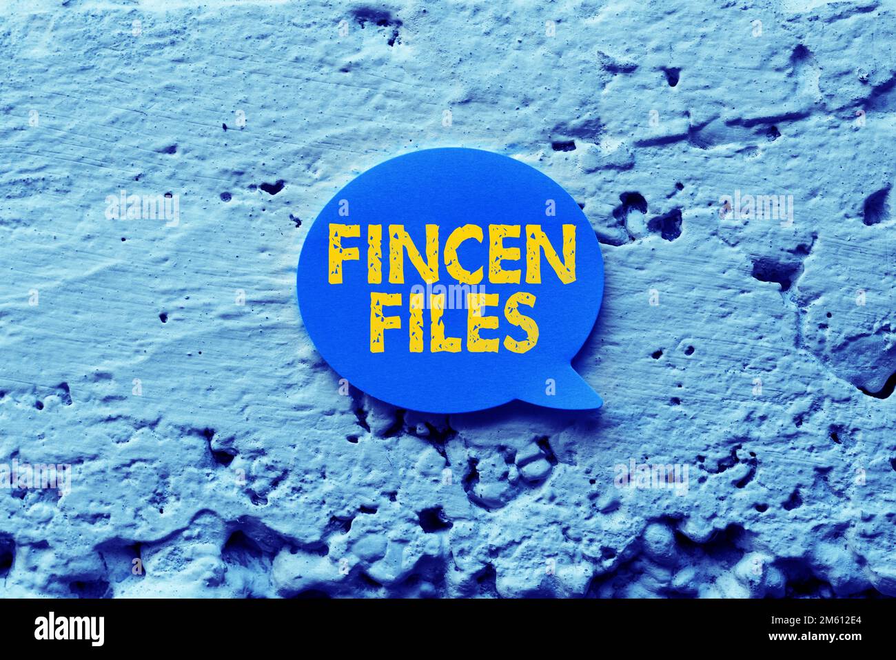 Conceptual display Fincen Files. Word Written on Transactions in ...