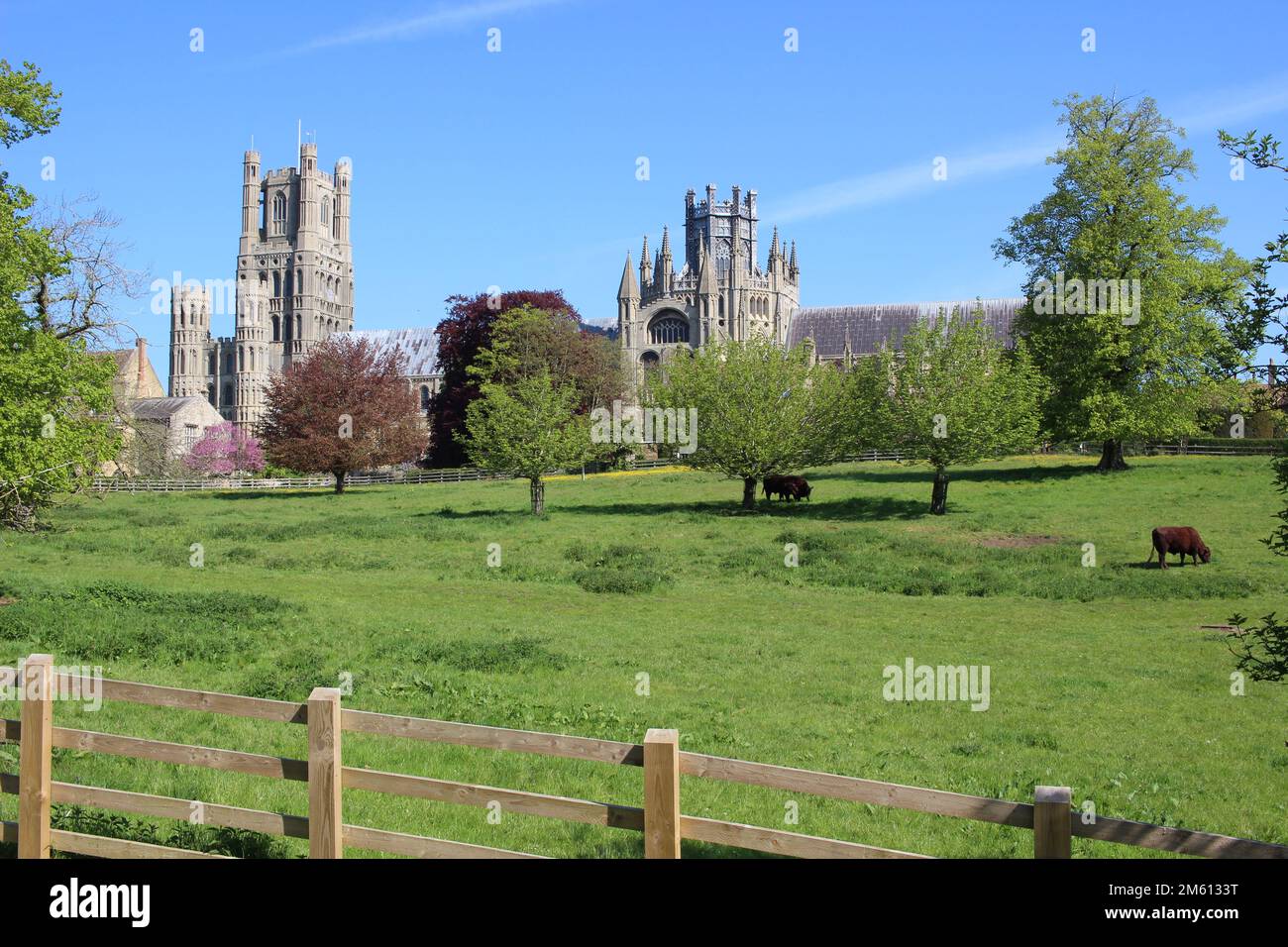 Ely Cathedral (Cathedral Church of the Holy and Undivided Trinity ...