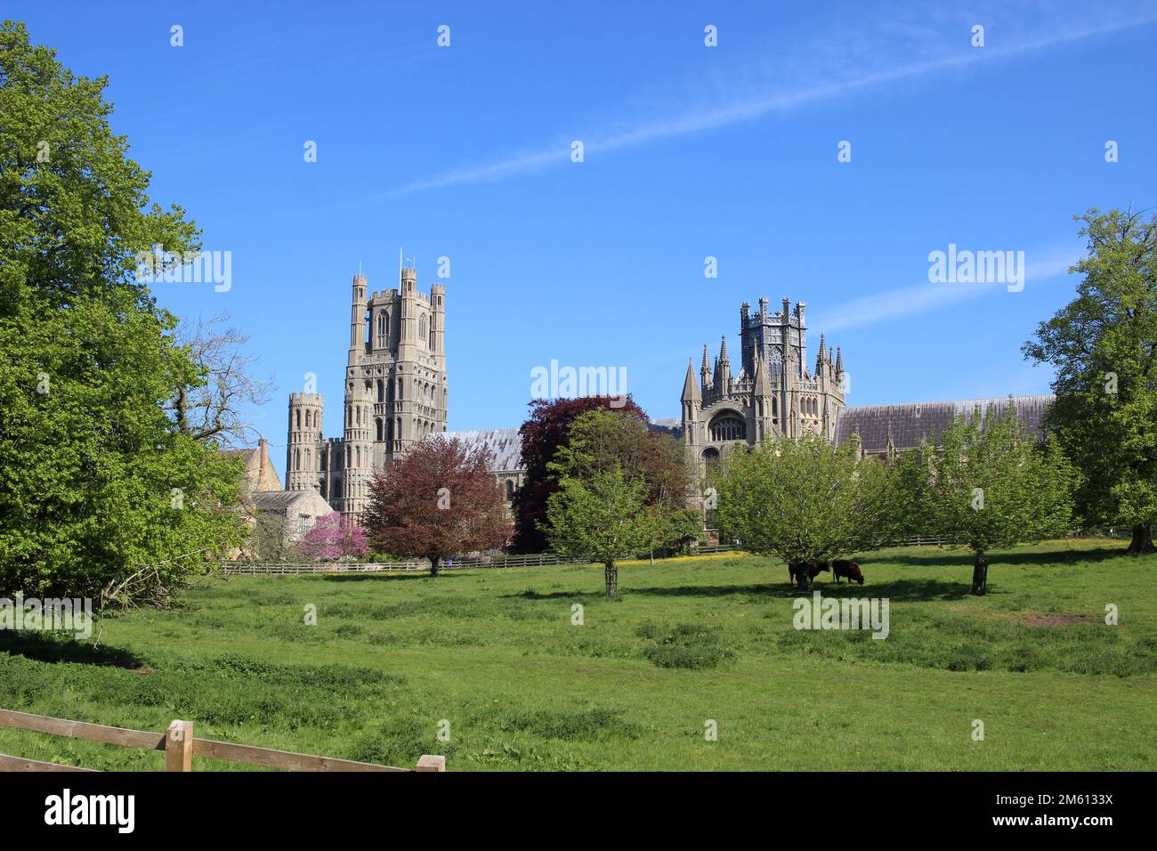 Ely Cathedral (Cathedral Church of the Holy and Undivided Trinity ...