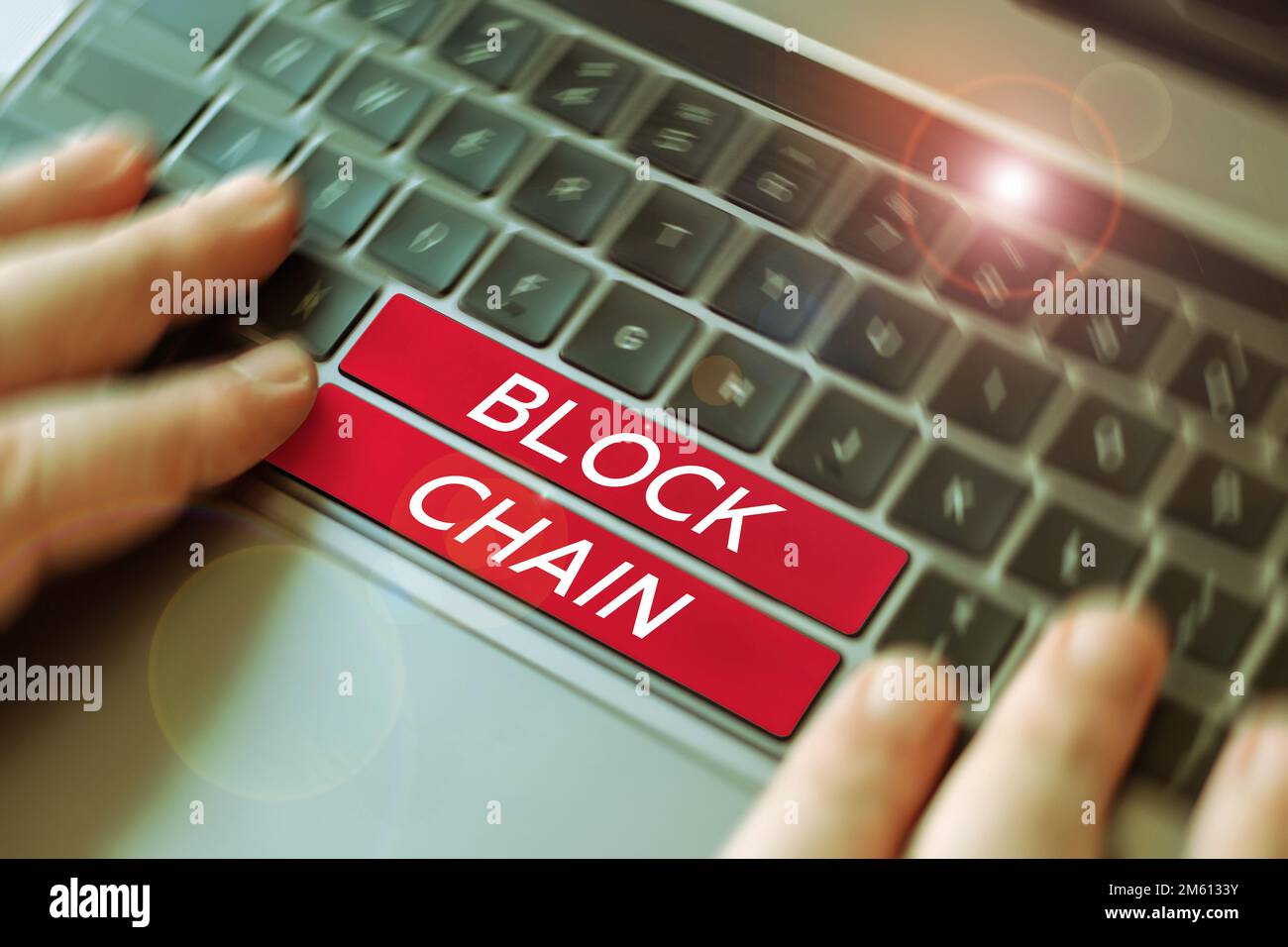 Text showing inspiration Block Chain. Business concept system in which ...