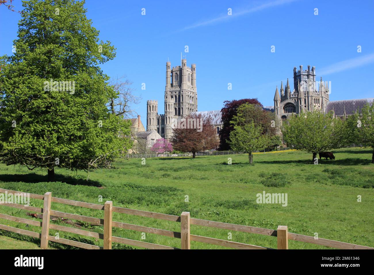 Ely Cathedral (Cathedral Church of the Holy and Undivided Trinity ...