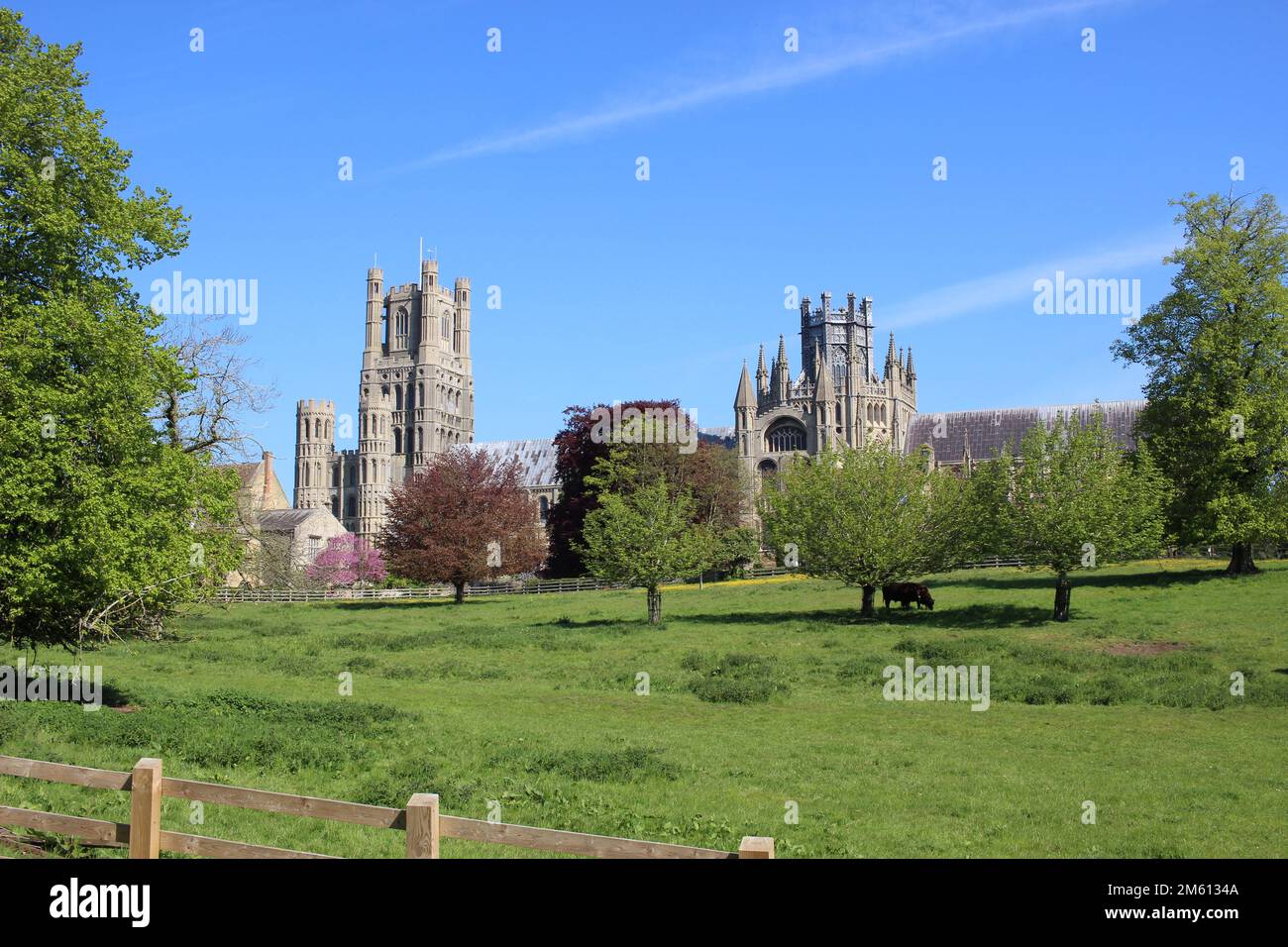 Ely Cathedral (Cathedral Church of the Holy and Undivided Trinity ...