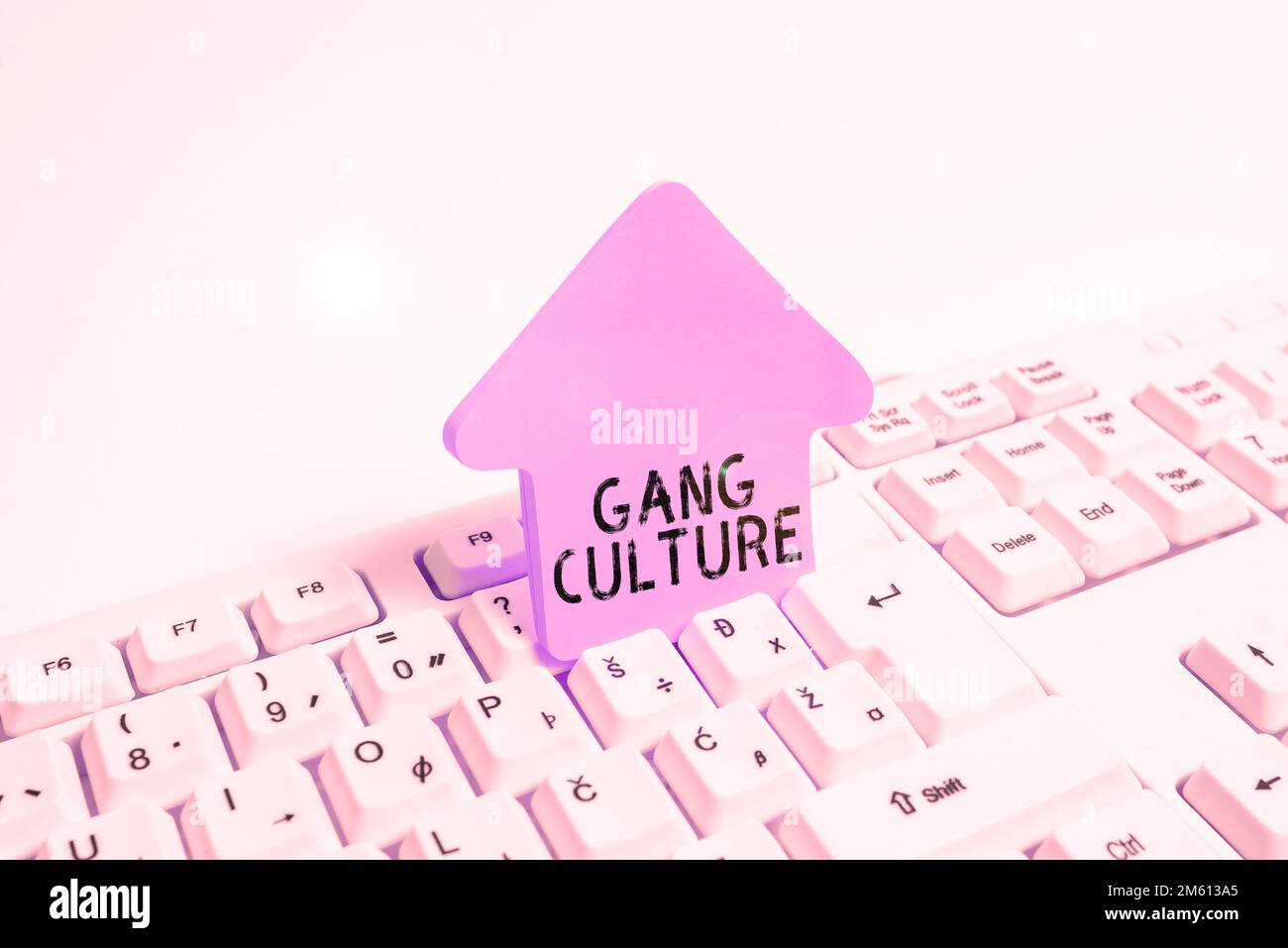 Text showing inspiration Gang Culture. Internet Concept particular ...