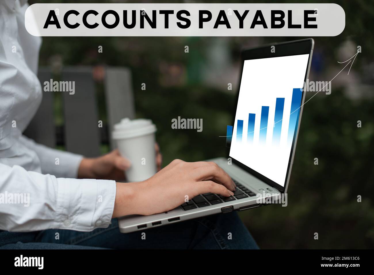 Sign displaying Accounts Payable. Internet Concept money owed by a ...