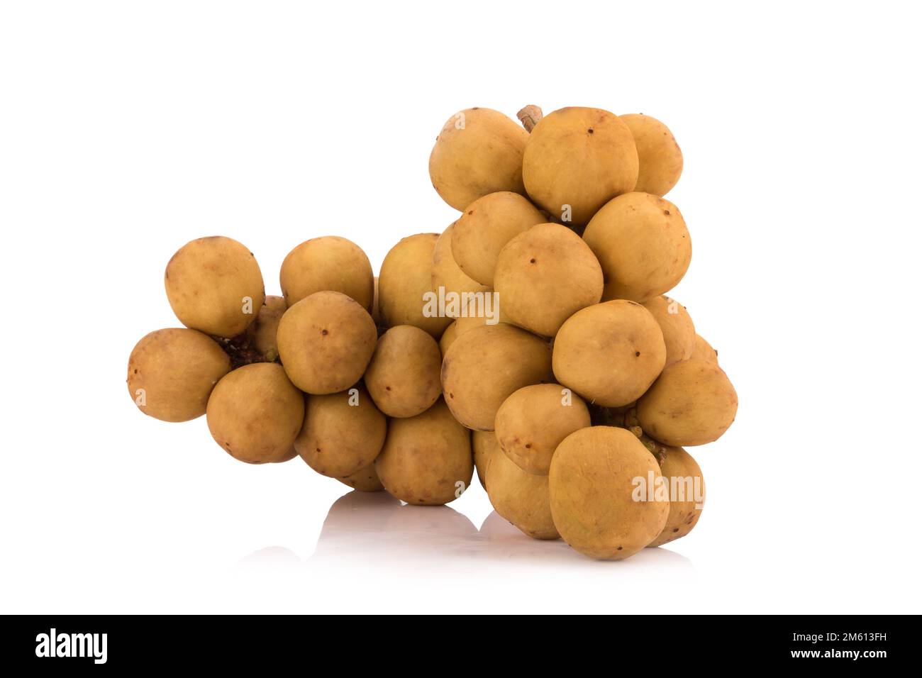 wollongong isolated on white background Stock Photo - Alamy