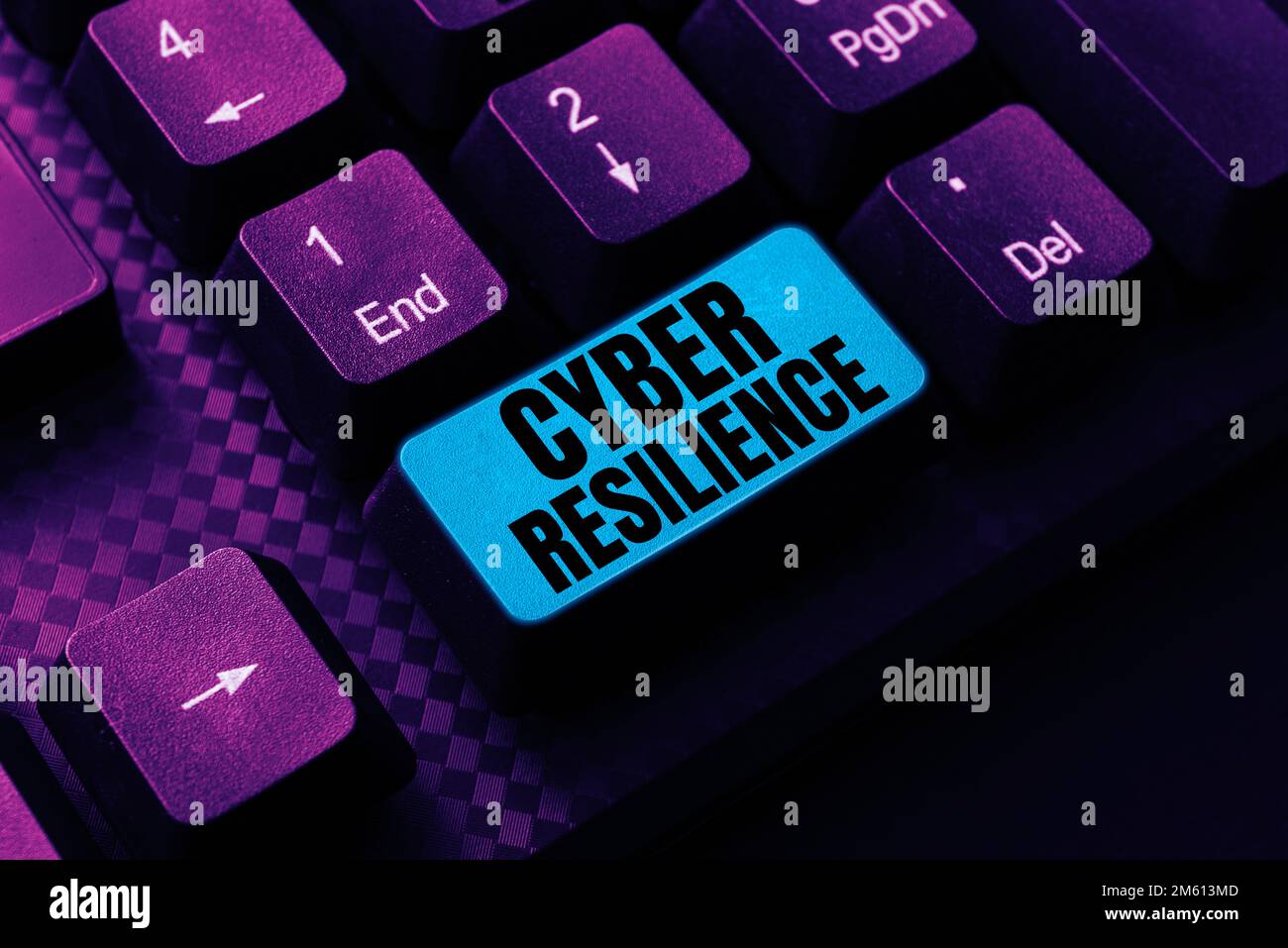 Inspiration showing sign Cyber Resilience. Business idea measure of how ...