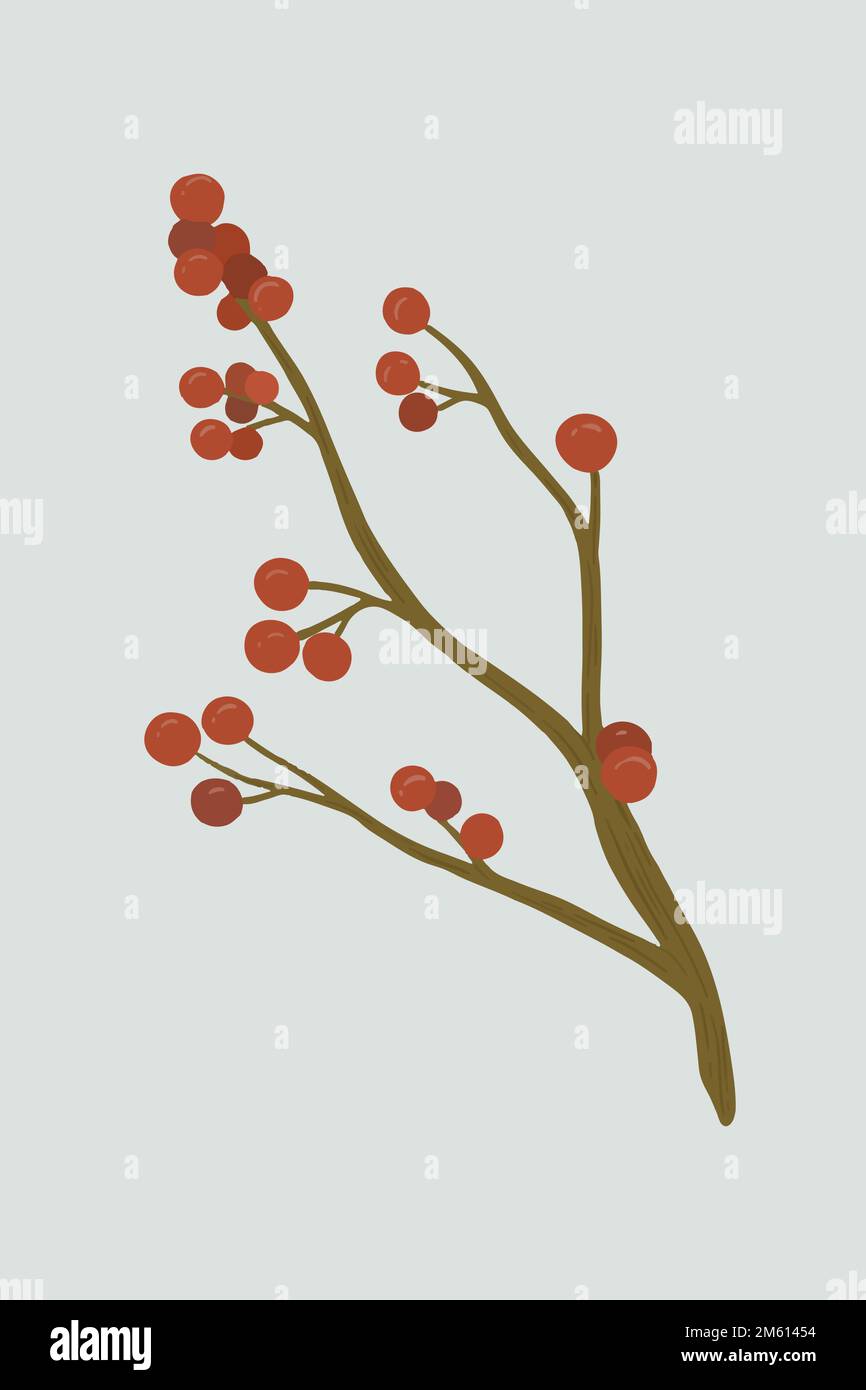 Red winterberry on a gray background vector Stock Vector Image & Art ...