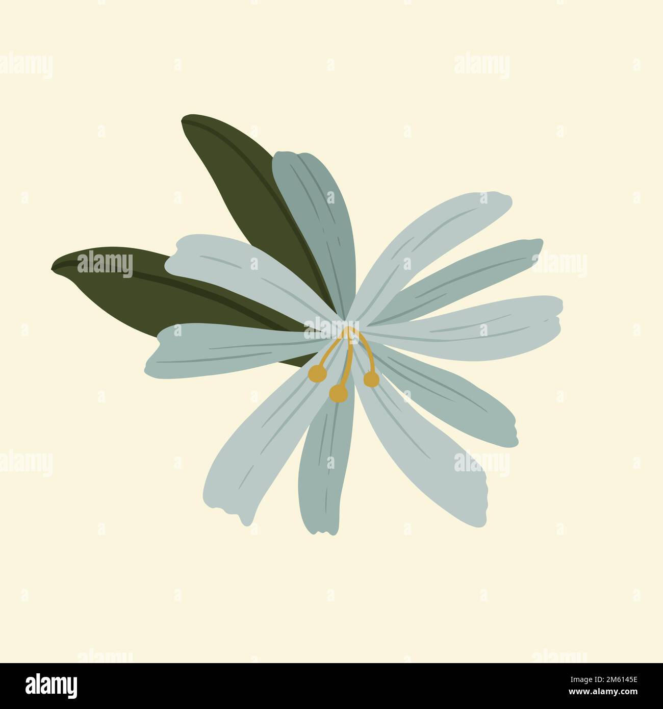 Blue botanical flower social ads template vector Stock Vector Image ...