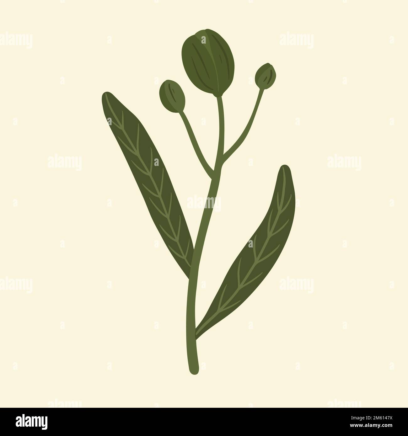 Green leafy buds social ads template vector Stock Vector Image & Art ...