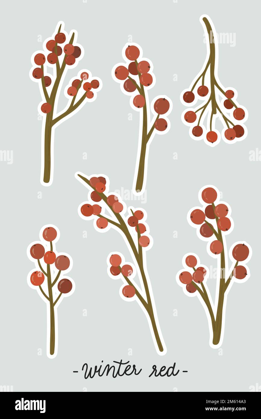 Winterberry branches set vector Stock Vector Image & Art - Alamy