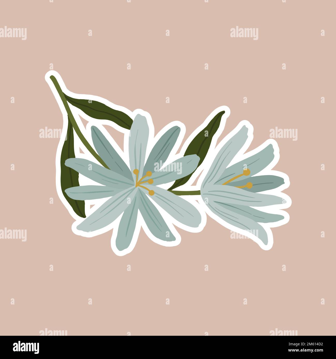 Early scilla flower Stock Vector Images - Alamy