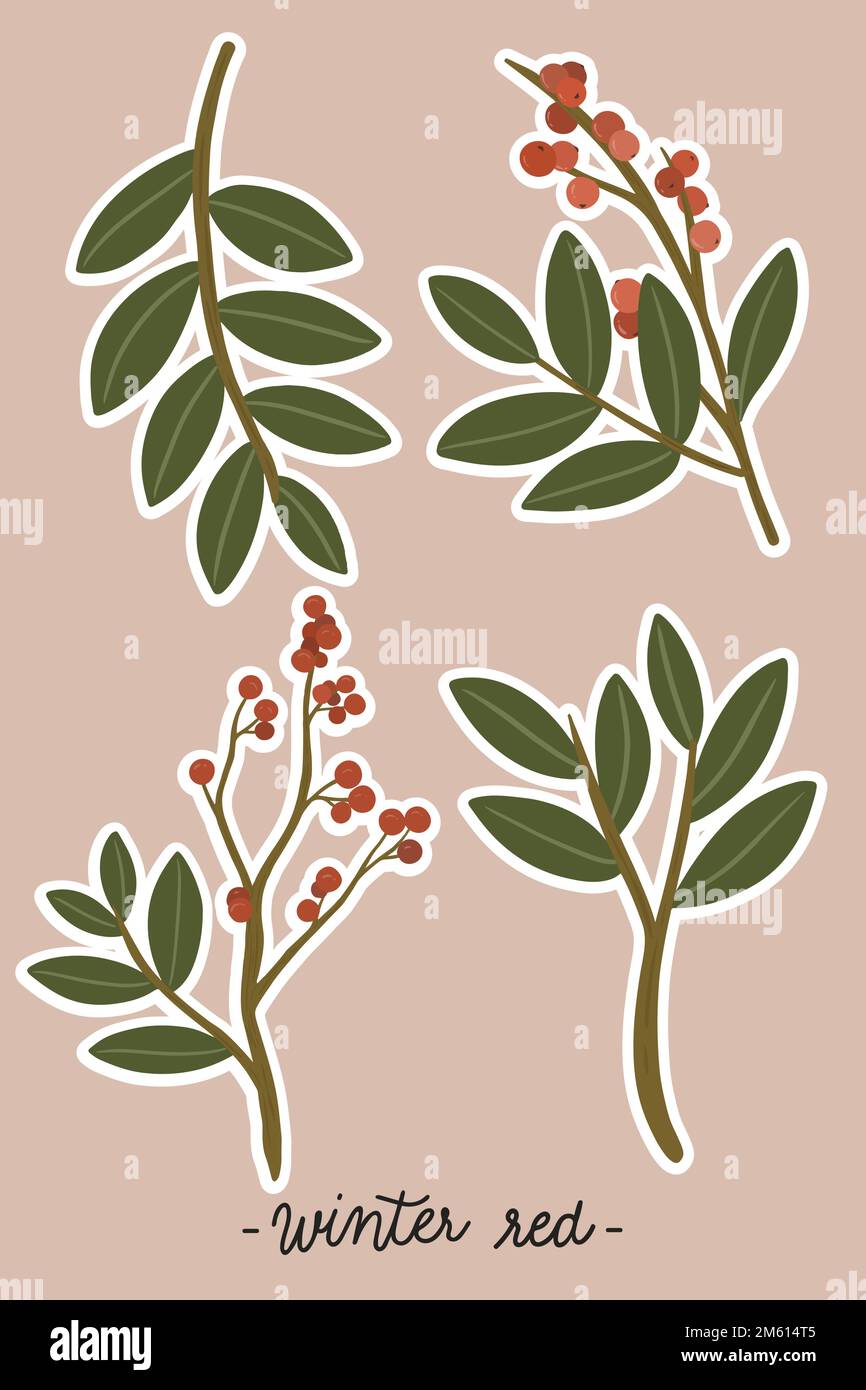 Winterberry branches set vector Stock Vector Image & Art - Alamy