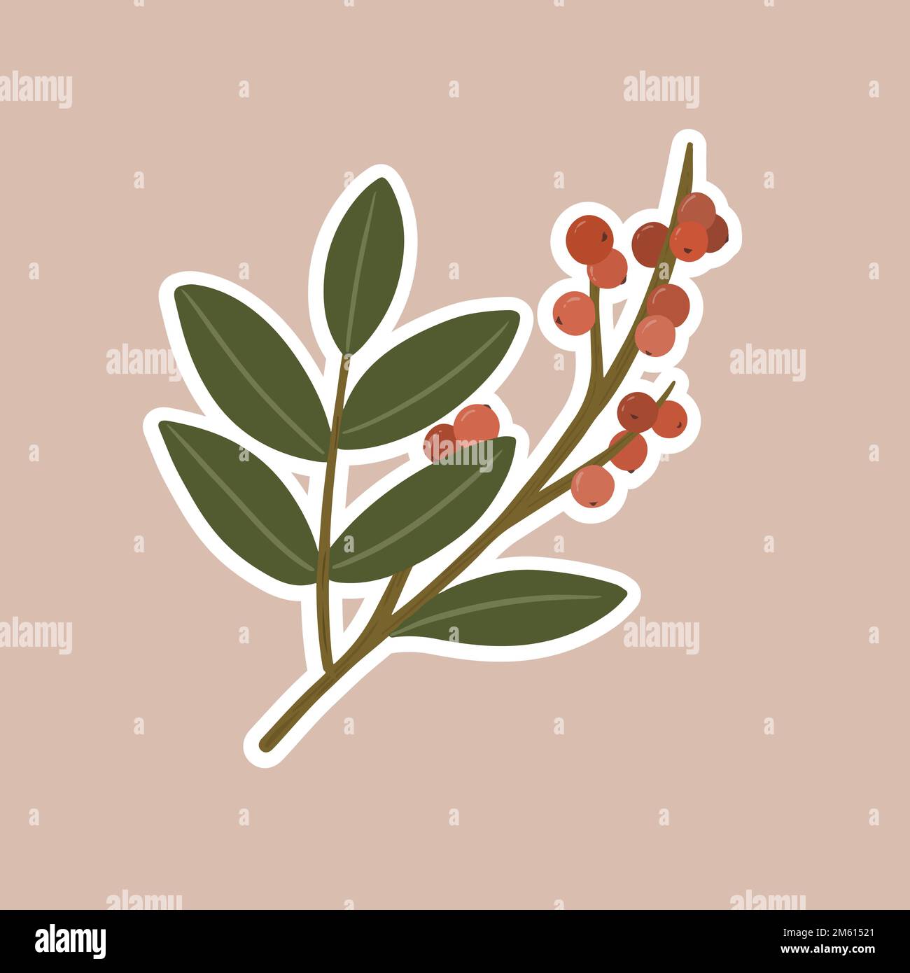 Winterberry vector vectors hi-res stock photography and images - Alamy