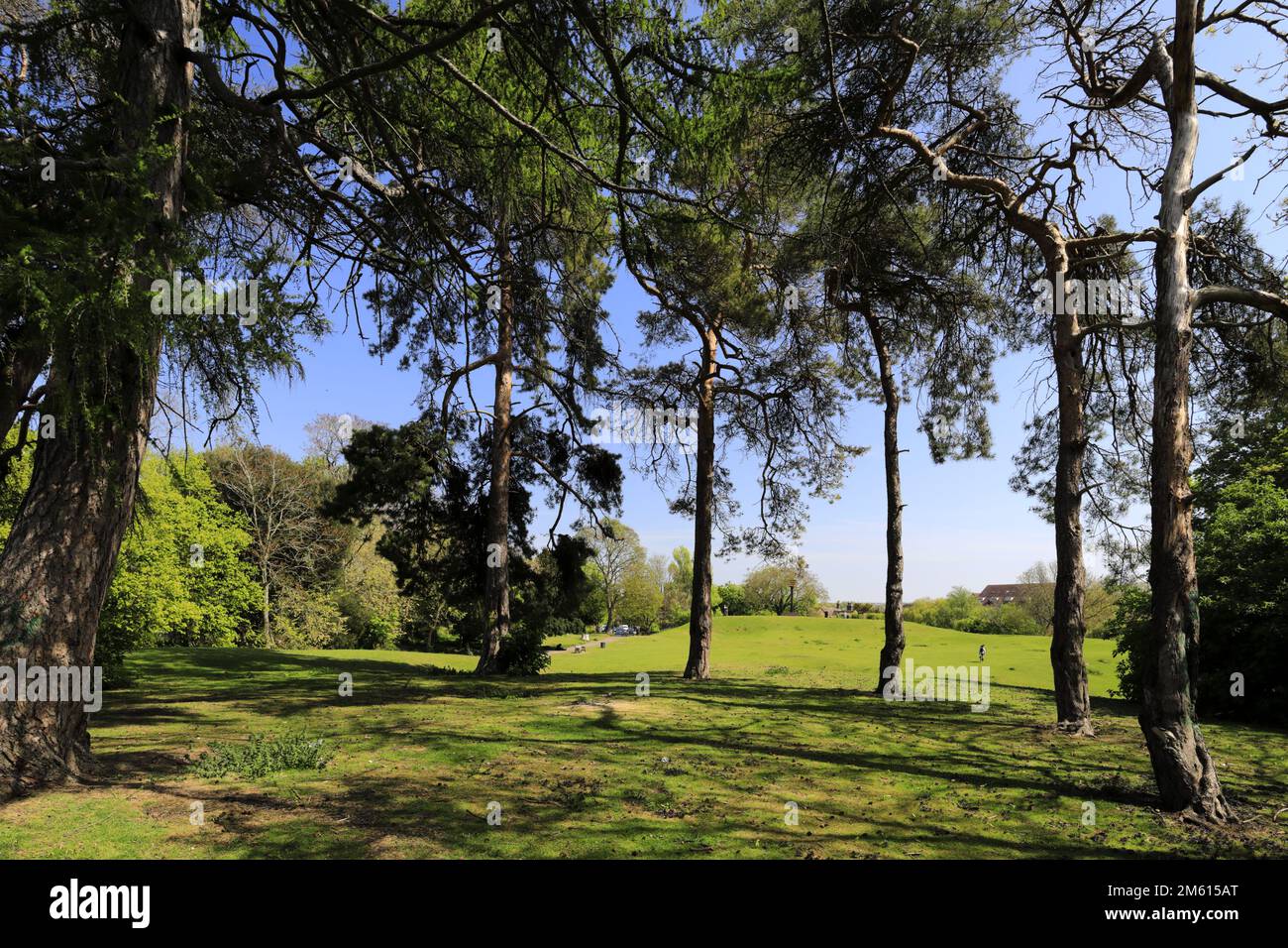 View over the Huntingdon Castle site, an old motte and bailey castle ...