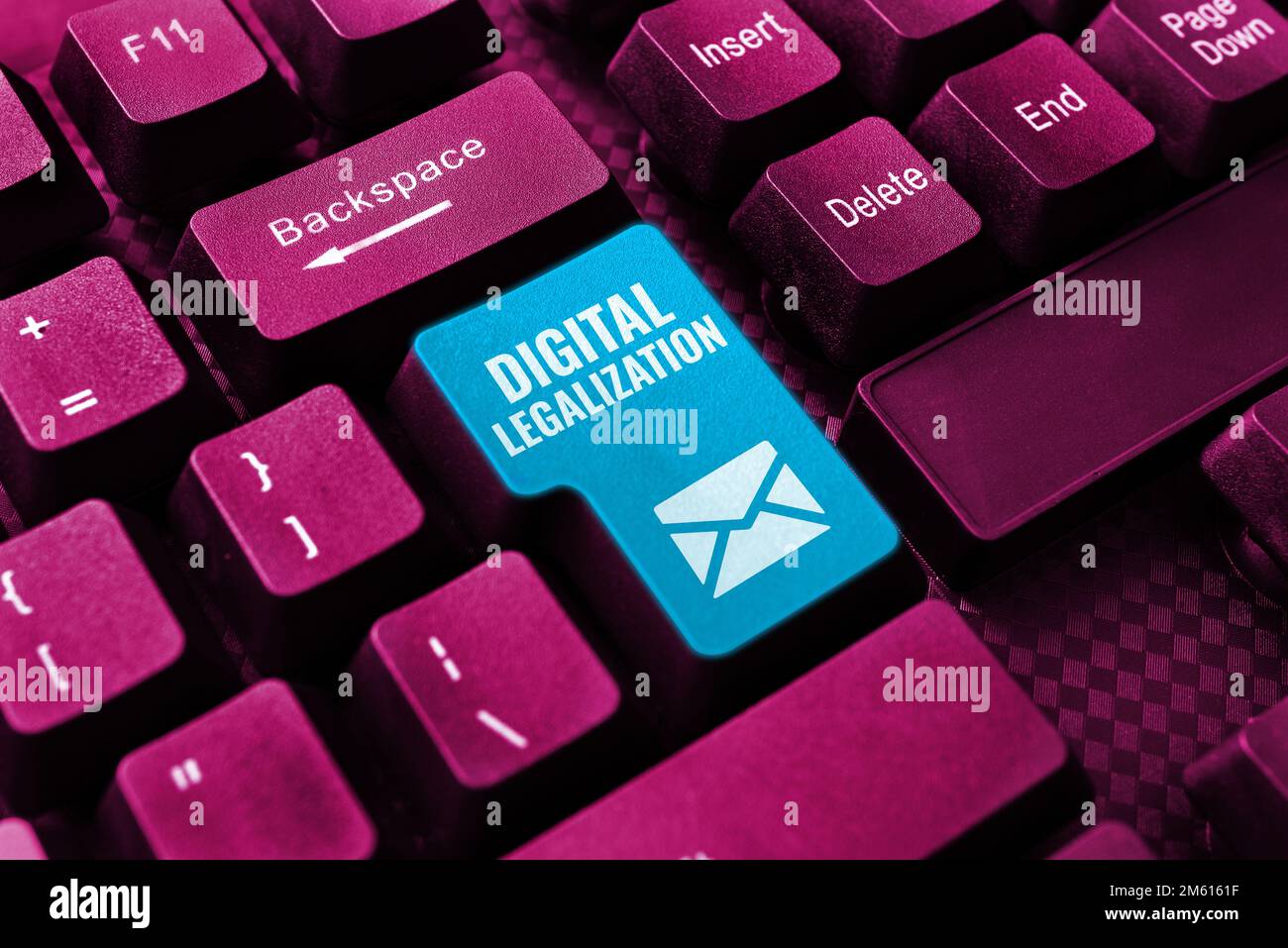 Conceptual caption Digital Legalization. Business idea accompanied by ...