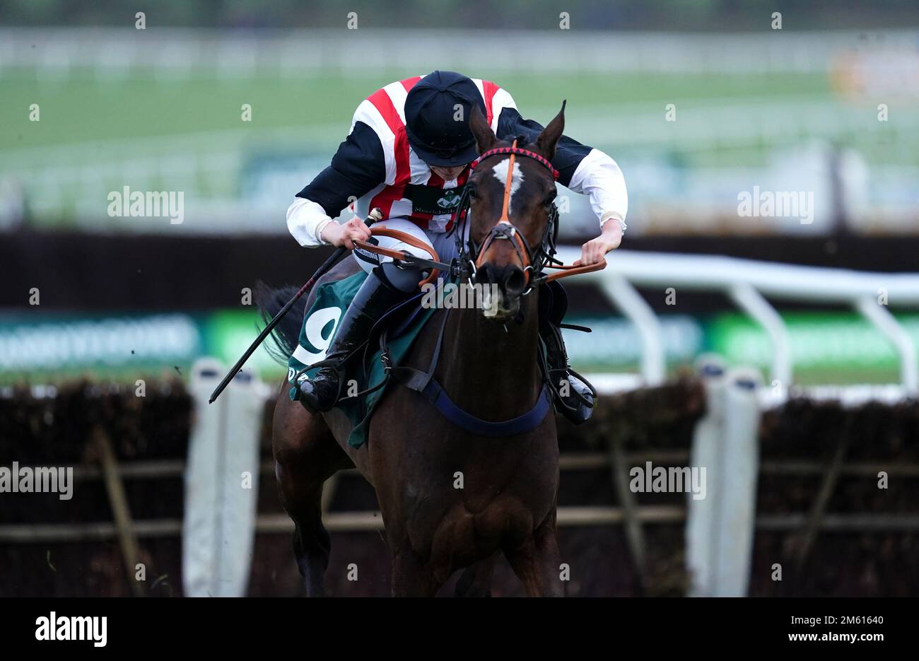 Lilly pinchin hi-res stock photography and images - Alamy