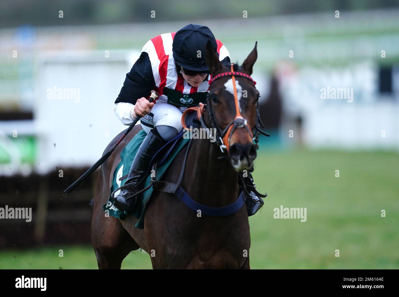 Lilly pinchin hi-res stock photography and images - Alamy