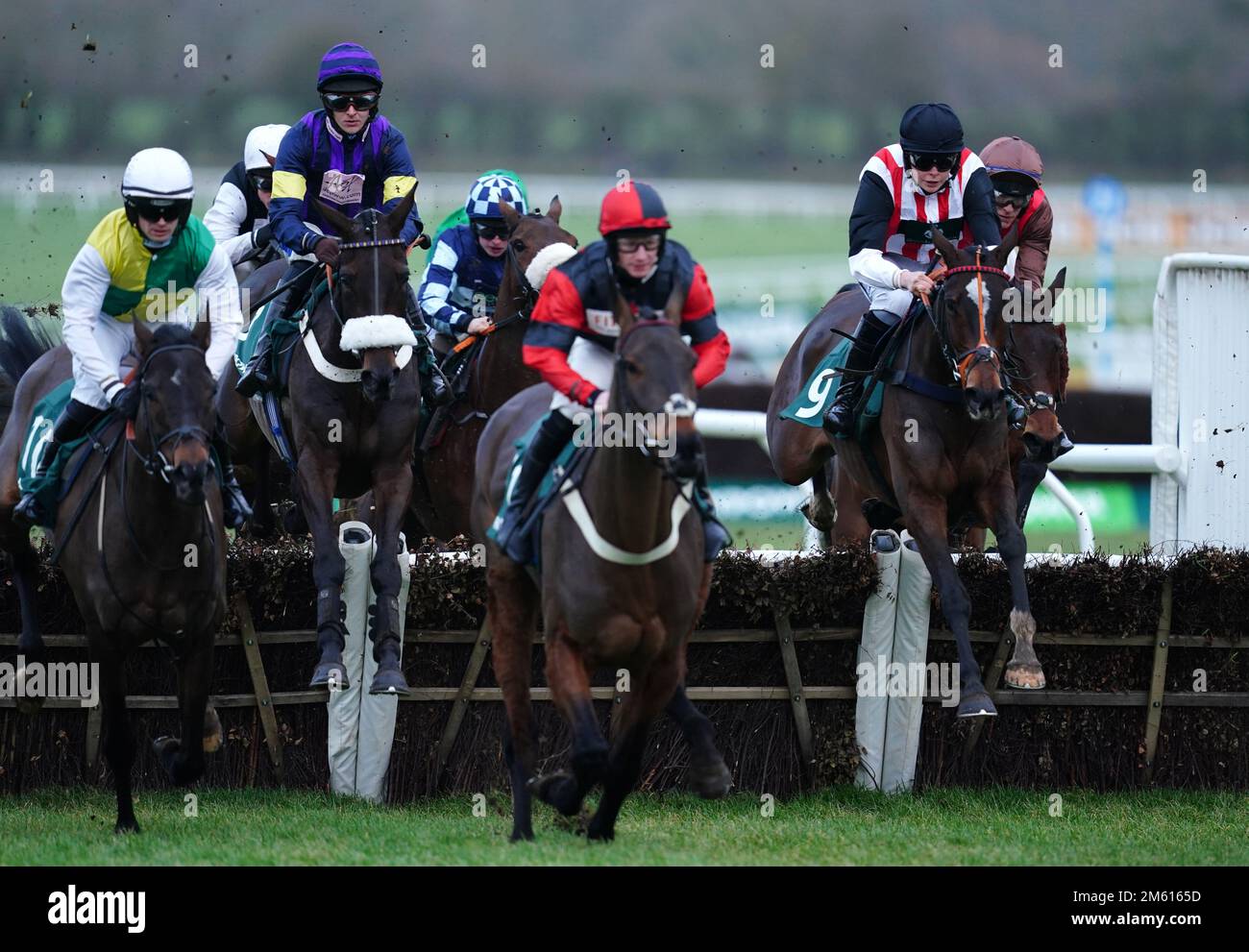 Lilly pinchin hi-res stock photography and images - Alamy