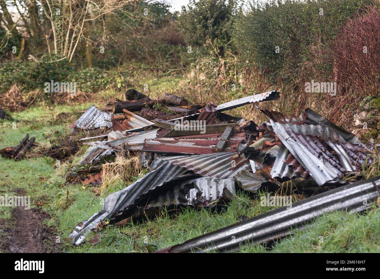 Pile of scrap galvanized roofing metal / rippled steel sheet. Focus on ...