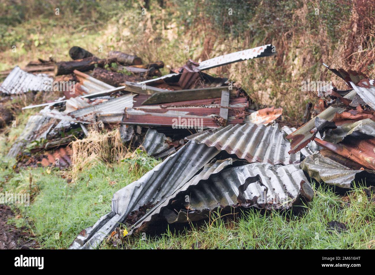 Pile of scrap galvanized roofing metal / rippled steel sheet. Focus on ...