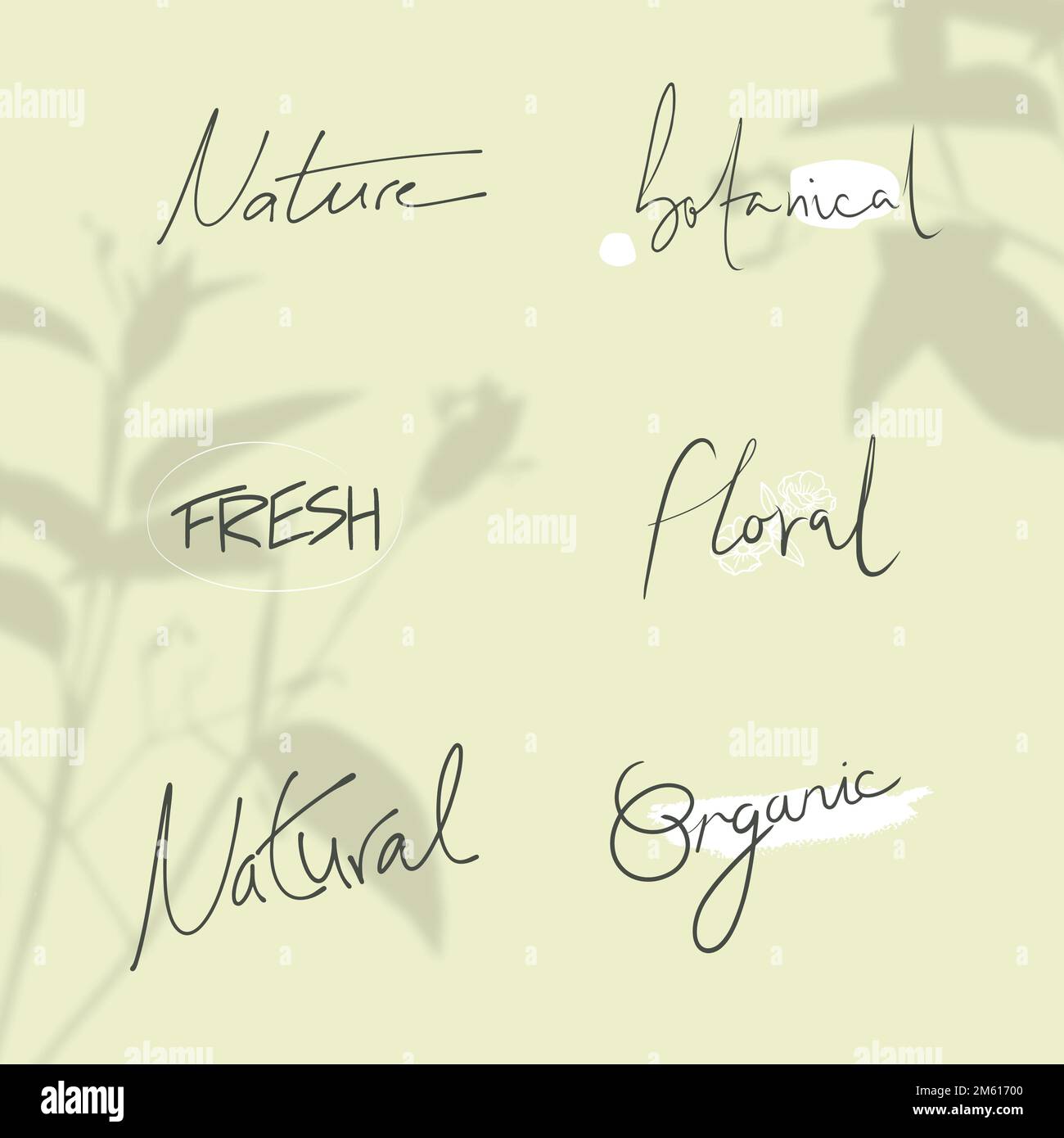 Nature words in minimal handwritten typography style vector Stock ...