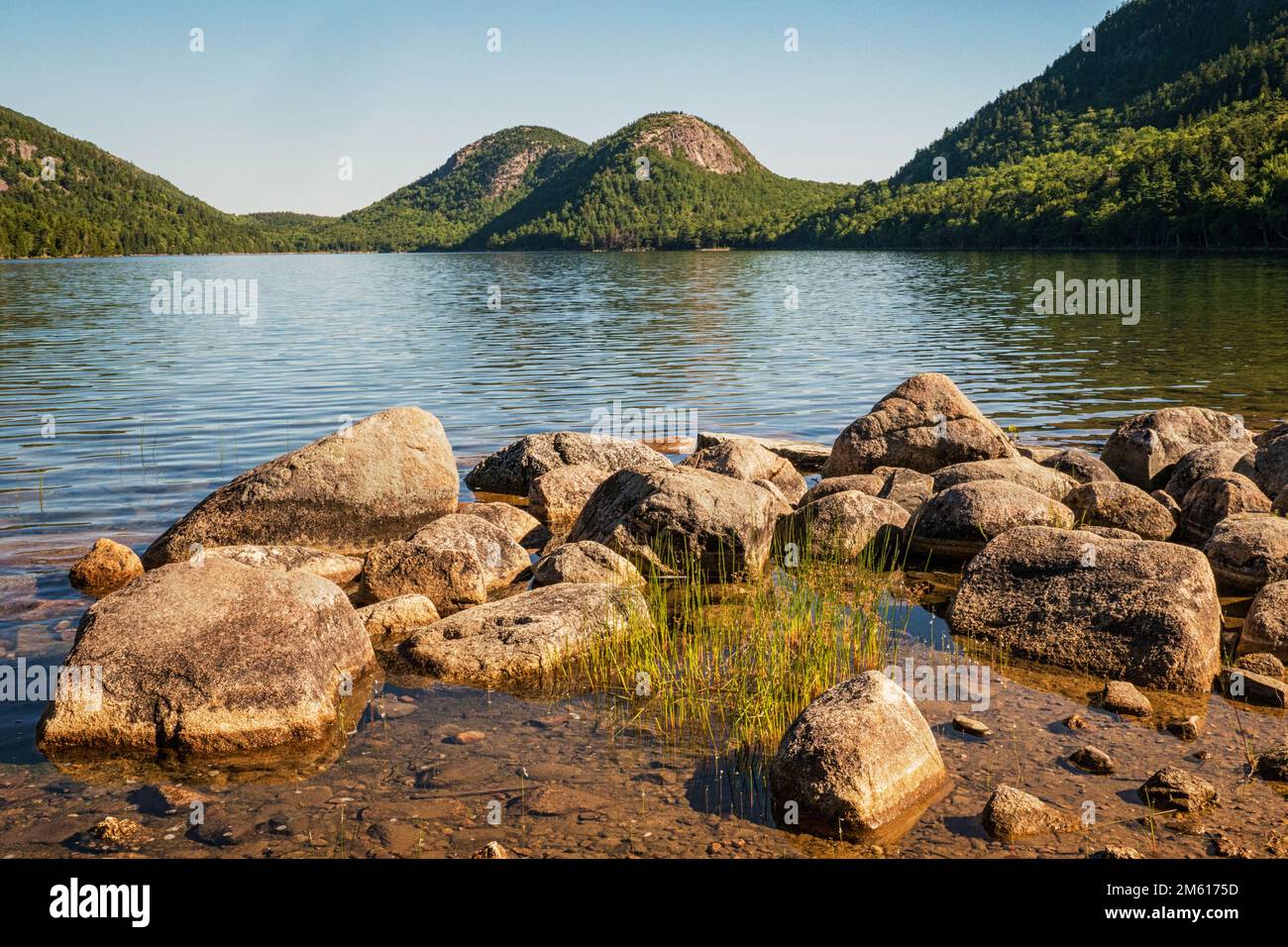 The Bubbles and Jordan Pond on a summer morning in Acadia National Park ...