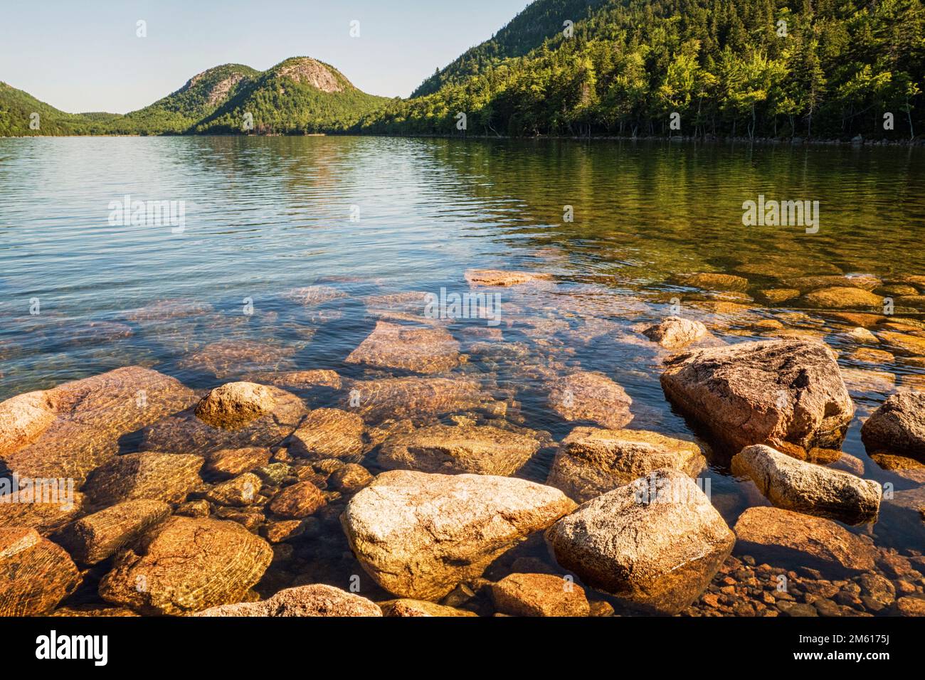 The Bubbles and Jordan Pond on a summer morning in Acadia National Park ...