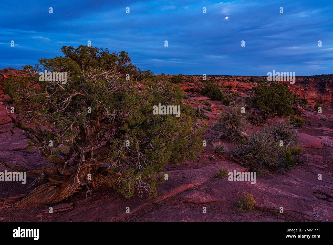Moonrise night nighttime hi-res stock photography and images - Alamy