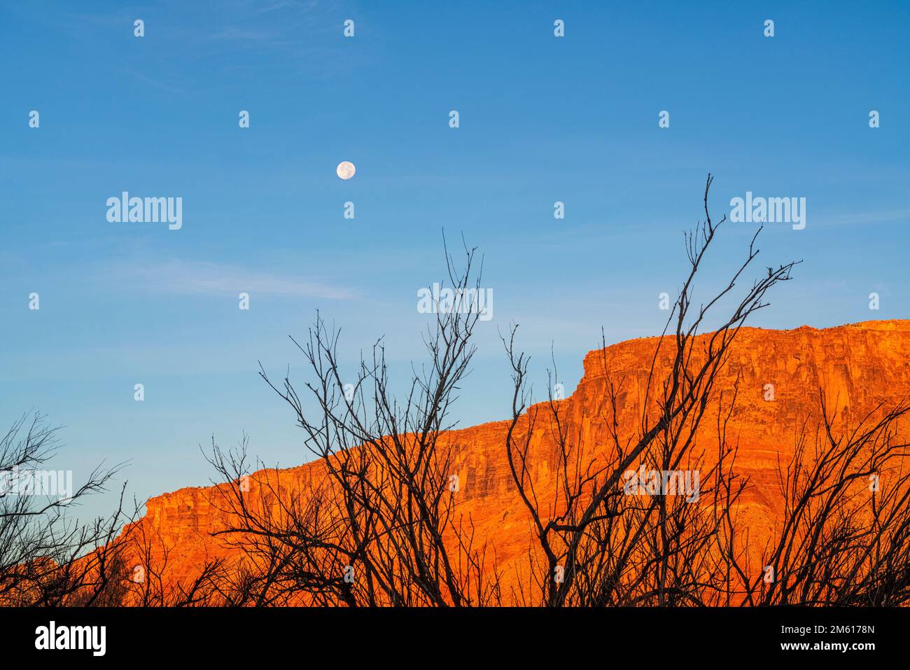 Moonrise over the red cliffs of the Colorado River near Moab, Utah ...