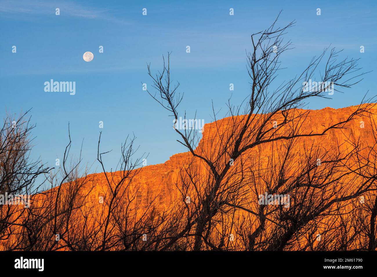 Moonrise over the red cliffs of the Colorado River near Moab, Utah ...