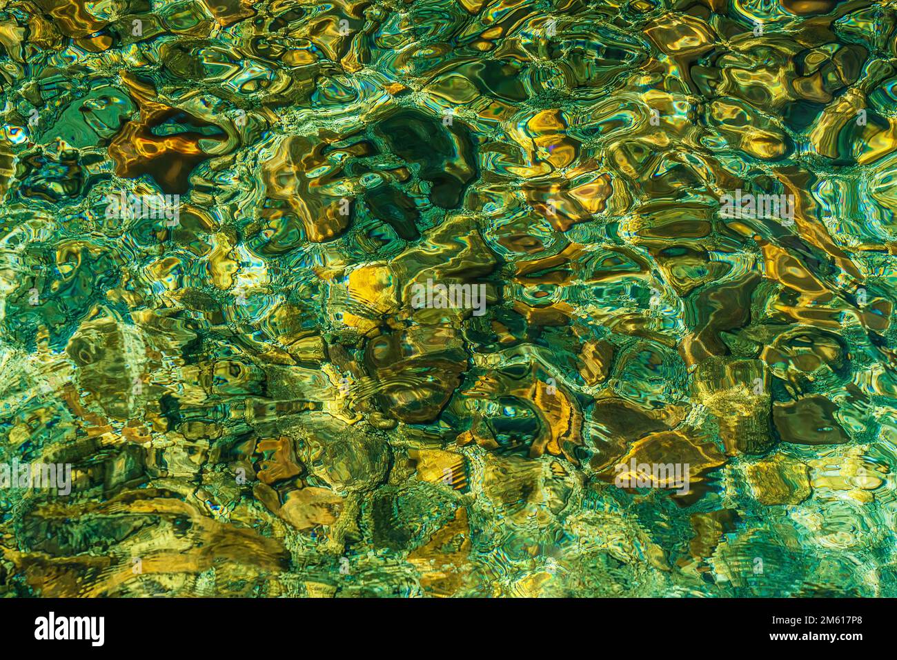 Clear water lake in green hi-res stock photography and images - Alamy