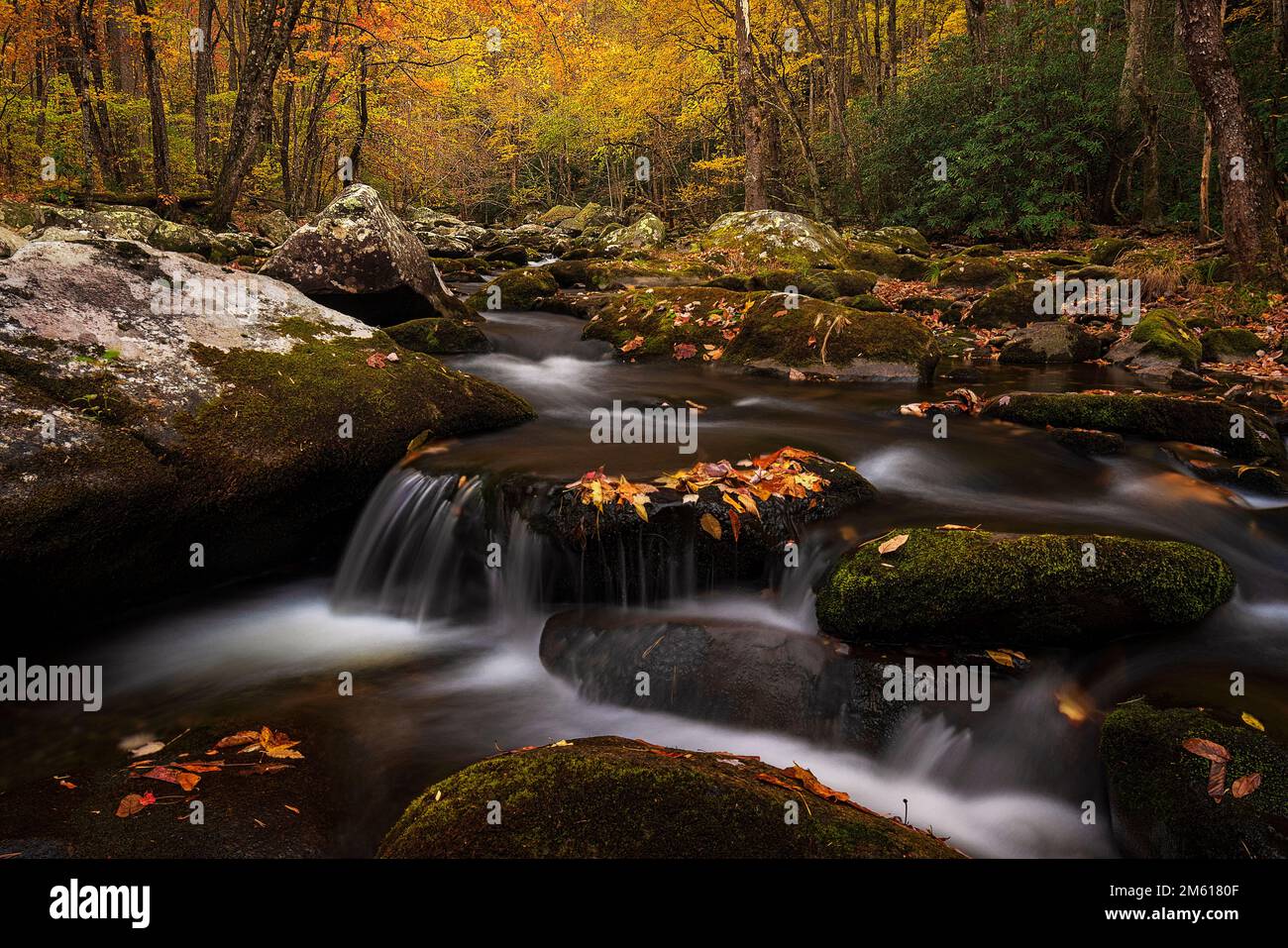 Autumn river scene in the Tremont Section of Great Smoky Mountain ...