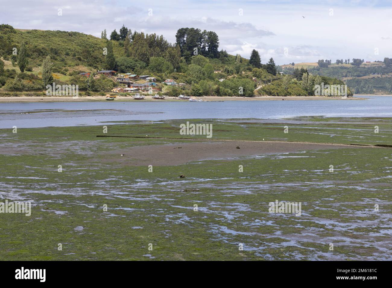 Landscape while low tide at Castro on Chiloé (Isla Grande de Chiloé) in Chile Stock Photo - Alamy