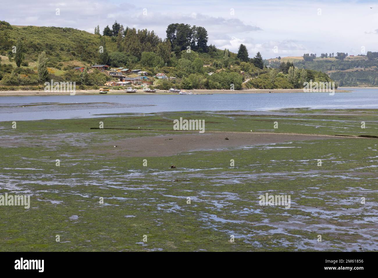 Landscape while low tide at Castro on Chiloé (Isla Grande de Chiloé) in ...