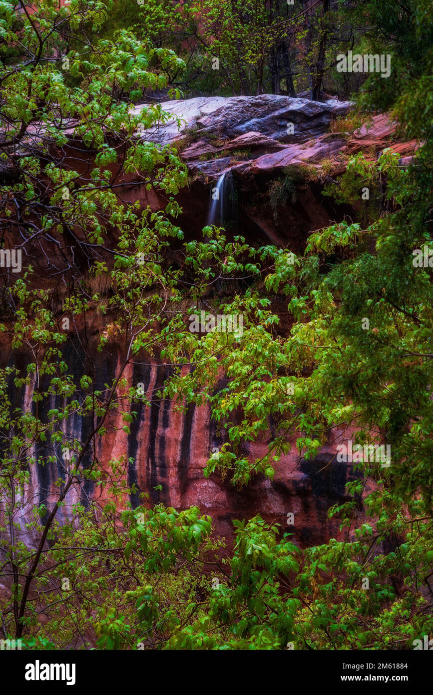 Beautiful lower emerald pools hi-res stock photography and images - Alamy
