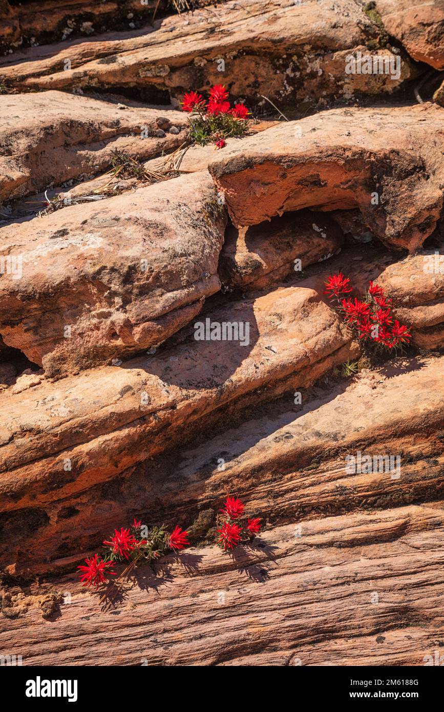 Side cliff road hi-res stock photography and images - Alamy