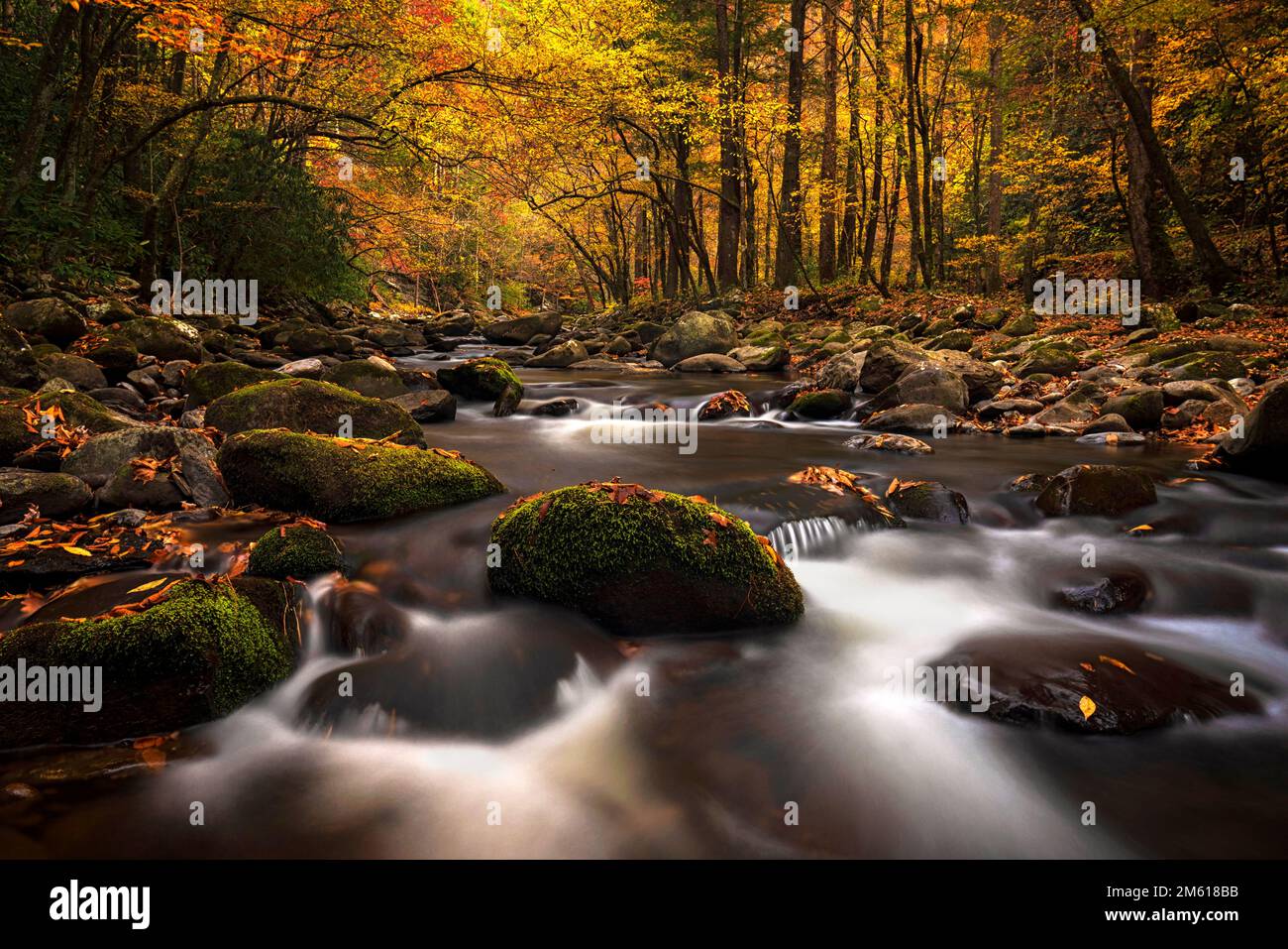 Autumn river scene in the Tremont Section of Great Smoky Mountain ...